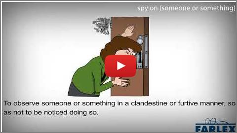 Spy - Idioms by The Free Dictionary