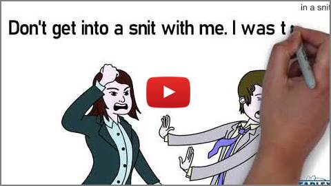 Snit - Idioms by The Free Dictionary