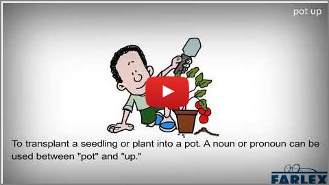 Pot - Idioms by The Free Dictionary