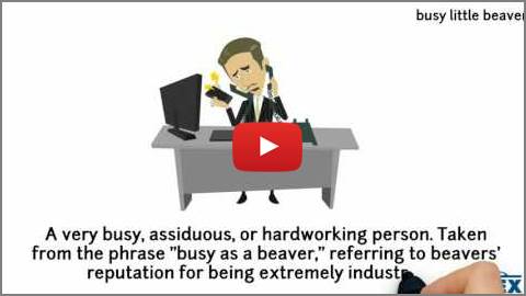 Beaver - Idioms by The Free Dictionary