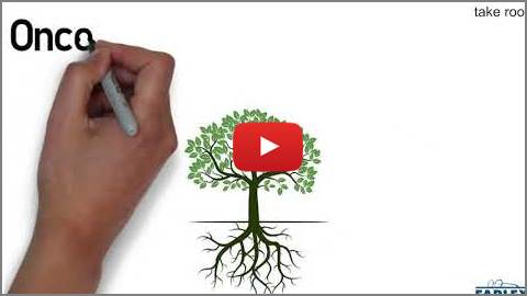 Root - Idioms by The Free Dictionary