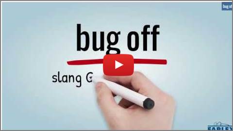 Bug - Idioms by The Free Dictionary