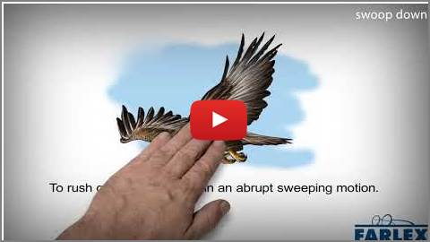 Swoop - Idioms by The Free Dictionary