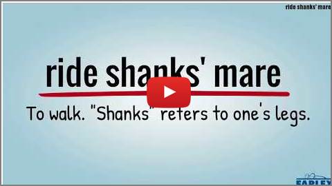 Mare - Idioms by The Free Dictionary