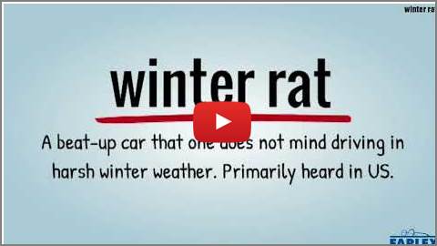 Winter - Idioms by The Free Dictionary