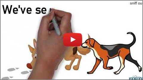 Sniff - Idioms by The Free Dictionary