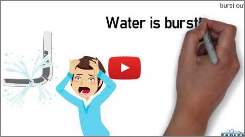 Burst - Idioms by The Free Dictionary