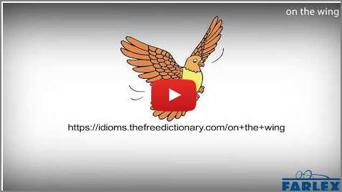 Wings - Idioms by The Free Dictionary